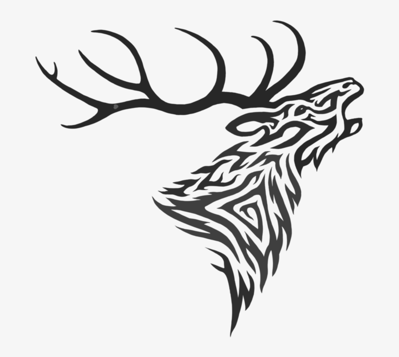 Stag Vector Celtic PNG Image | Transparent PNG Free Download on SeekPNG