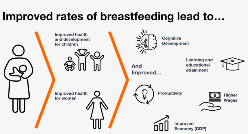 [source] PNG Image | Transparent PNG Free Download on SeekPNG