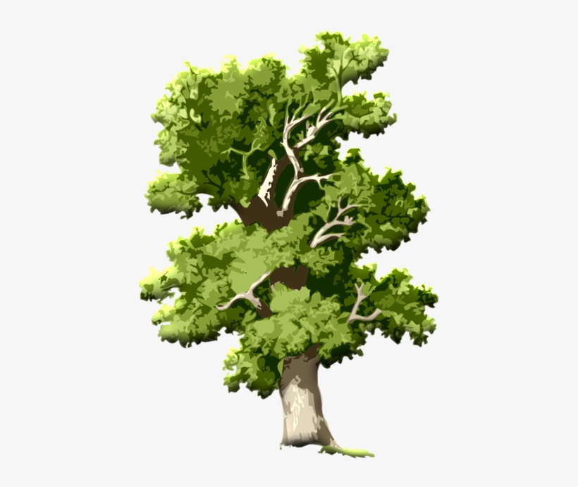 Arbre Png PNG Image | Transparent PNG Free Download on SeekPNG