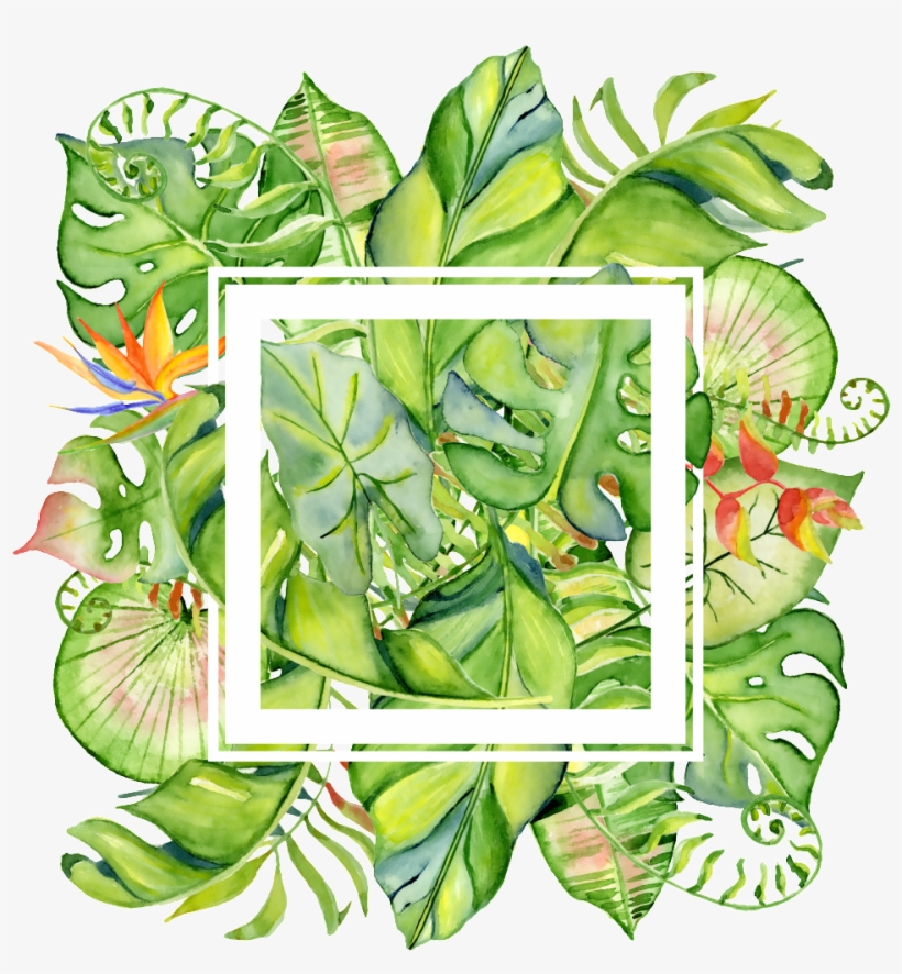 Painted Tropical Leaves Frame Png Transparent About PNG Image ...
