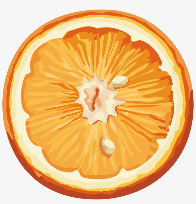 Orange Png PNG Image | Transparent PNG Free Download on SeekPNG