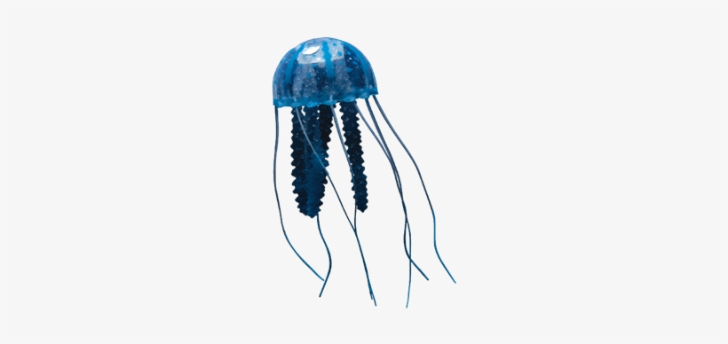 Box Jellyfish Png Photos - Sketch PNG Image | Transparent PNG Free ...
