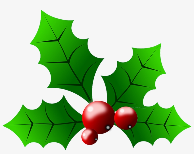 Download Holly Berries Con Transparrent - Holly Png | Transparent PNG ...