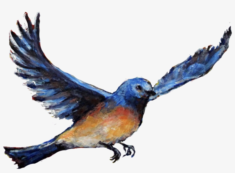 Boat Tailed Grackle PNG Image | Transparent PNG Free Download on SeekPNG