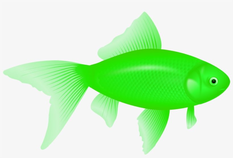 Green Fish Png Image - Green Fish Png PNG Image | Transparent PNG Free ...