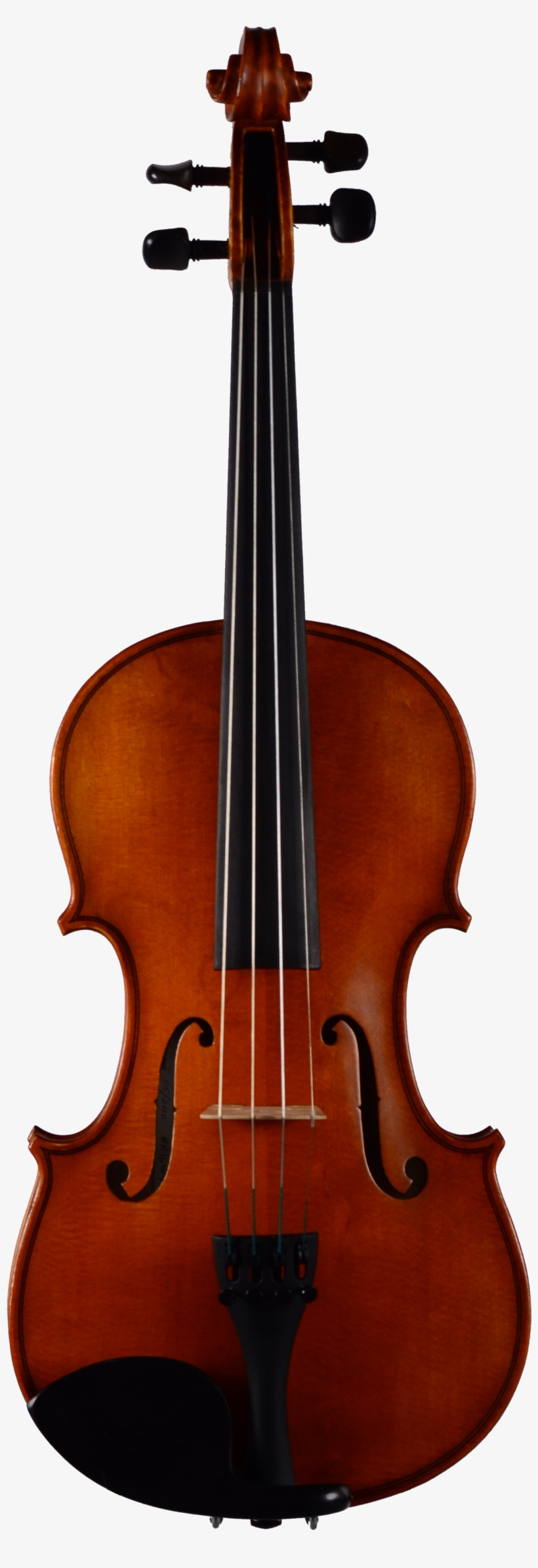 Download Violin Png - Violin Half Size | Transparent PNG Download | SeekPNG