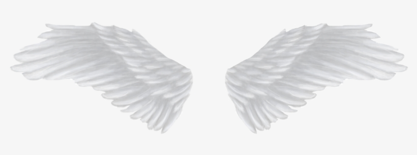 Portable Network Graphics PNG Image | Transparent PNG Free Download on ...