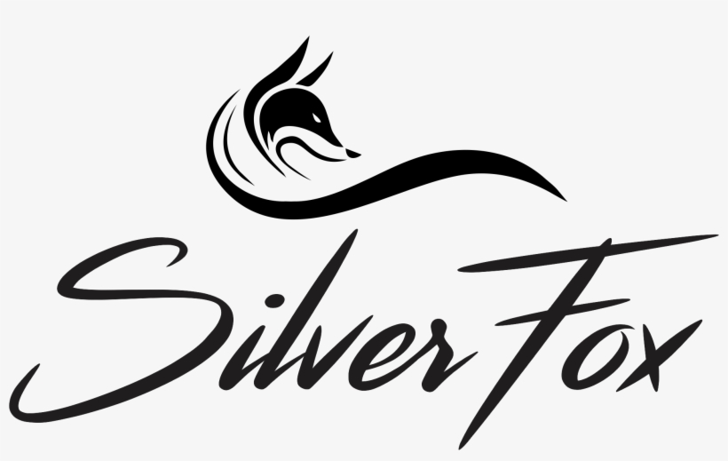 Silver Fox Arcade - Ifoxcreations Ifox Ife1 Bluetooth Sports Earphones ...