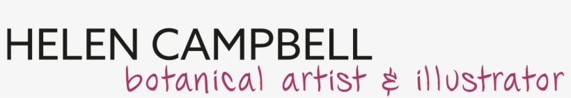 Logo - Lilac PNG Image | Transparent PNG Free Download on SeekPNG