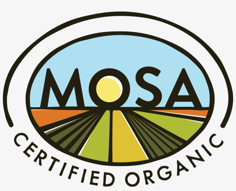 Mosa Logos - Portable Network Graphics PNG Image | Transparent PNG Free ...