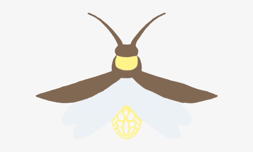 Firefly Png Images Transparent Free Download PNG Image | Transparent ...