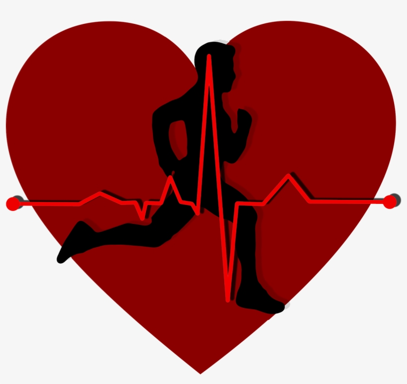 Heart Fitness Png PNG Image | Transparent PNG Free Download on SeekPNG