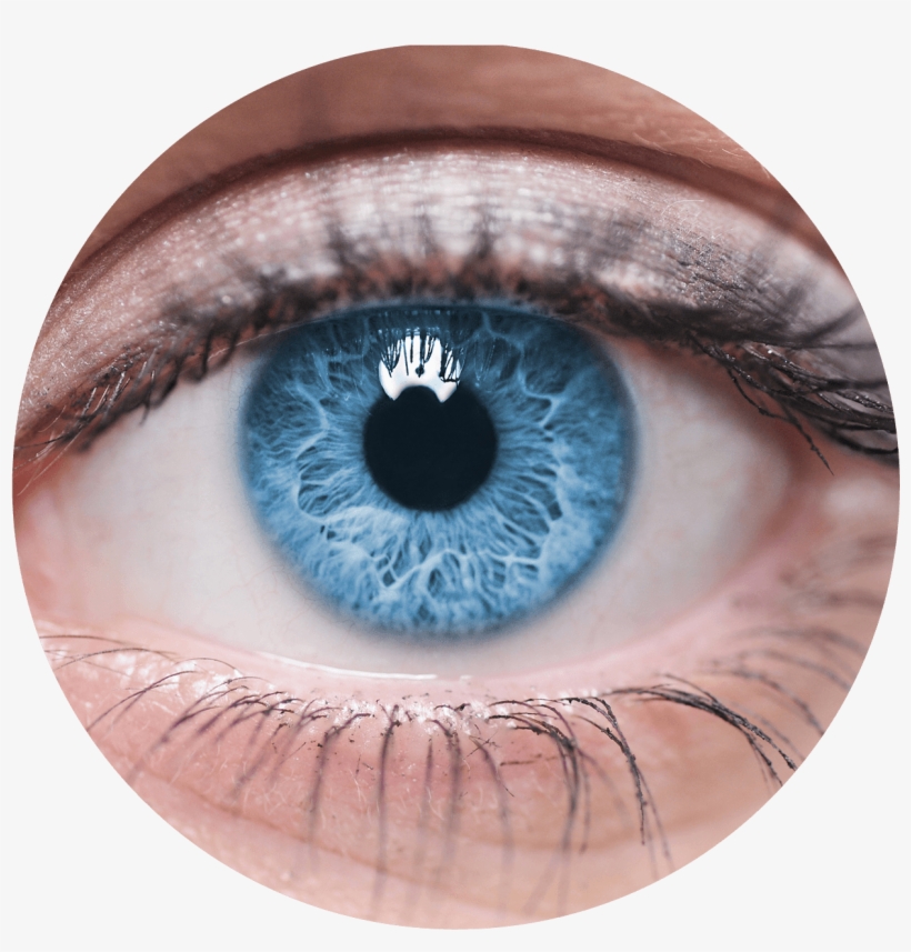 Olho PNG Image | Transparent PNG Free Download on SeekPNG