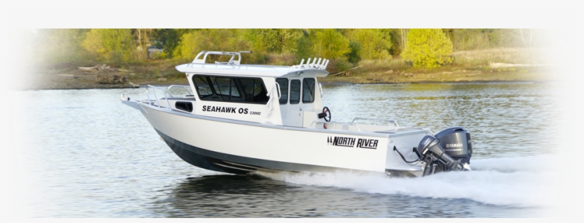 Seahawk Png PNG Image | Transparent PNG Free Download on SeekPNG