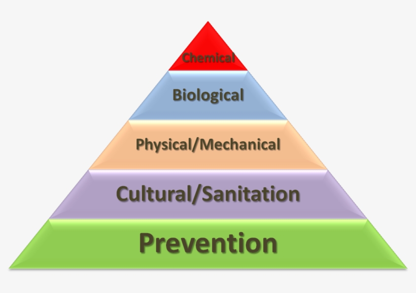 Layers Of Pest Prevention And Management PNG Image | Transparent PNG ...