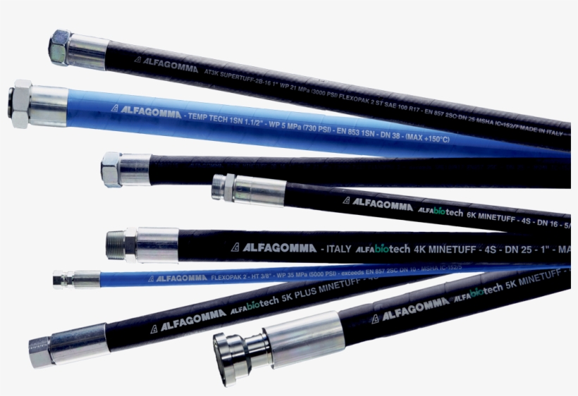 Rvd Png PNG Image | Transparent PNG Free Download on SeekPNG