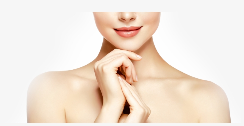 Jaw Png PNG Image | Transparent PNG Free Download on SeekPNG