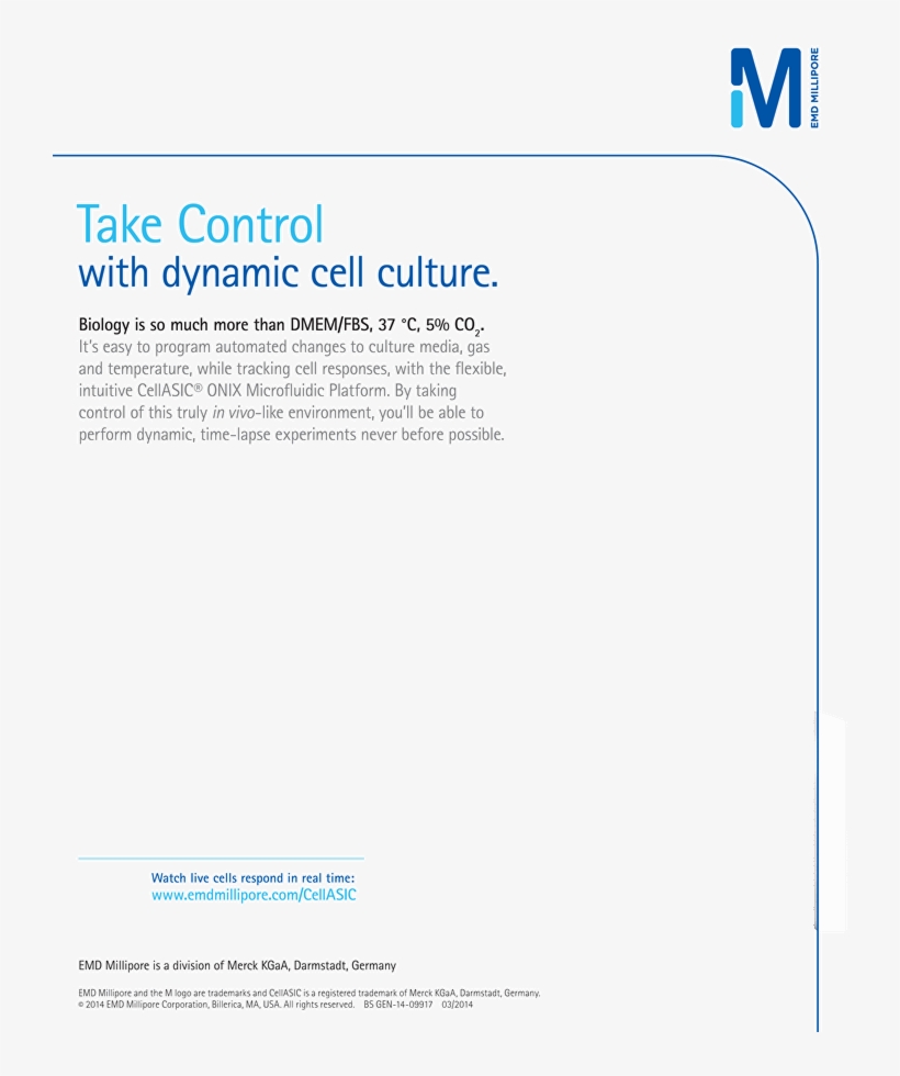 What PNG Image | Transparent PNG Free Download on SeekPNG