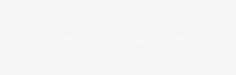 Logo PNG Image | Transparent PNG Free Download on SeekPNG