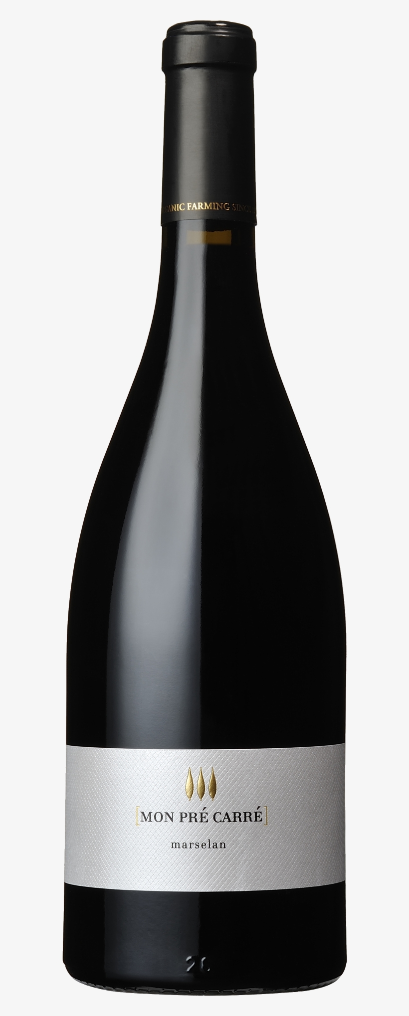 Black Vignette Png PNG Image | Transparent PNG Free Download on SeekPNG