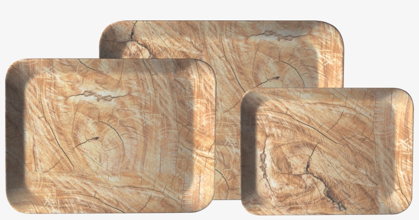 Wood Slice Png PNG Image | Transparent PNG Free Download on SeekPNG