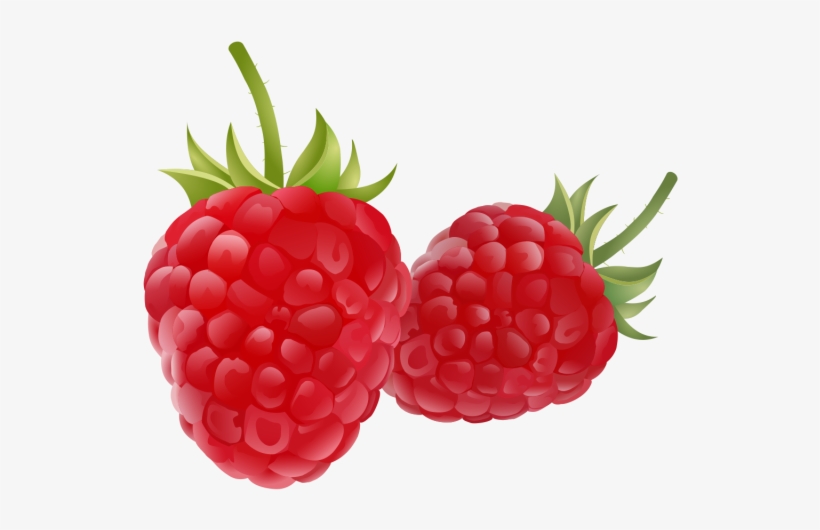Fruit Drawing Clipart Raspberry, Fruit Logo, Set Clipart, - Raspberry ...