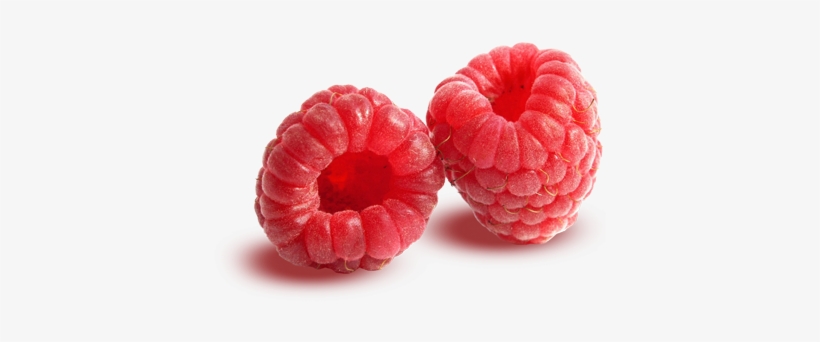 Raspberries - Raspberry Transparent PNG Image | Transparent PNG Free ...