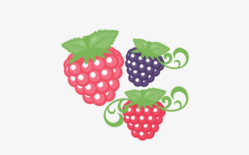 Raspberries Clipart Raspberry Fruit - Cute Raspberry PNG Image ...