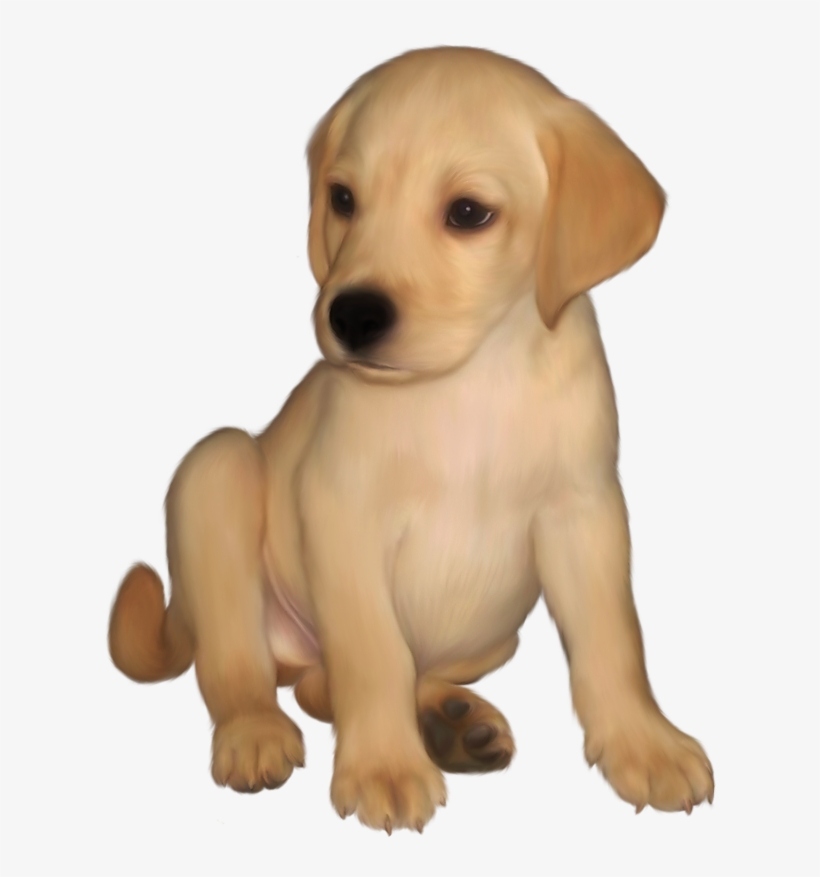 Puppy Clipart Yellow Lab - Png Image Small Size PNG Image | Transparent ...