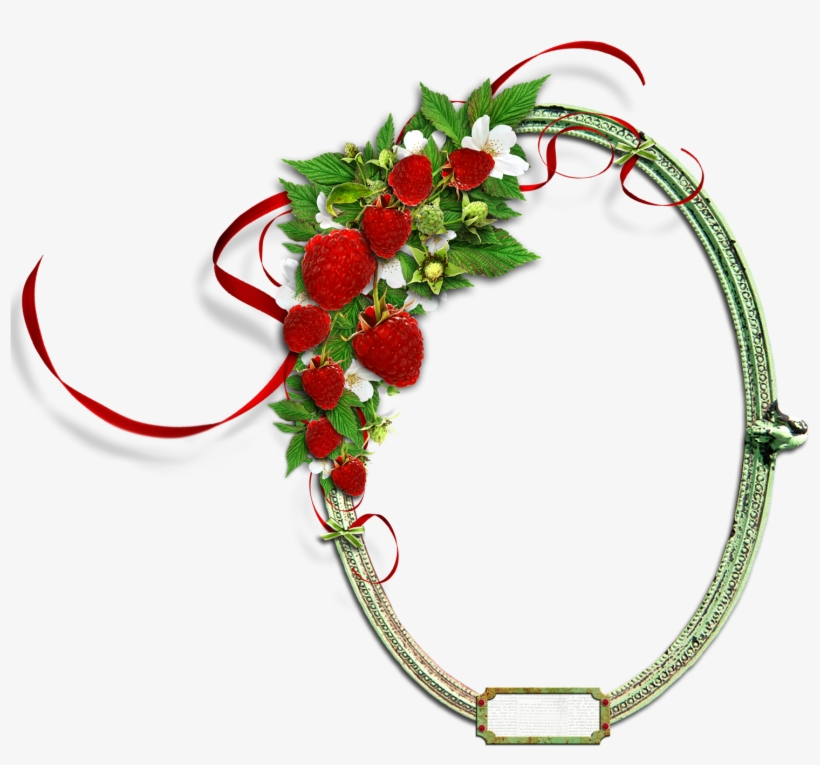 Round Photo Frame Png PNG Image | Transparent PNG Free Download on SeekPNG