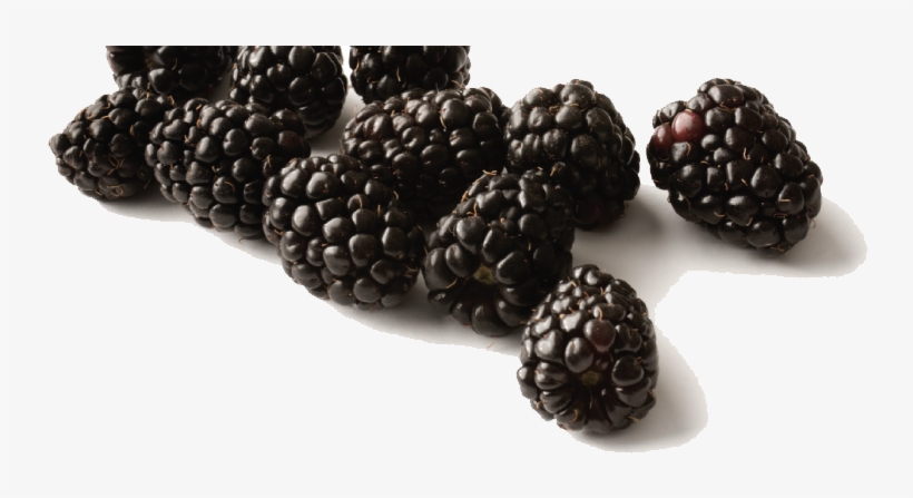 Black Raspberries Png Free Download - Black Raspberry Png PNG Image ...
