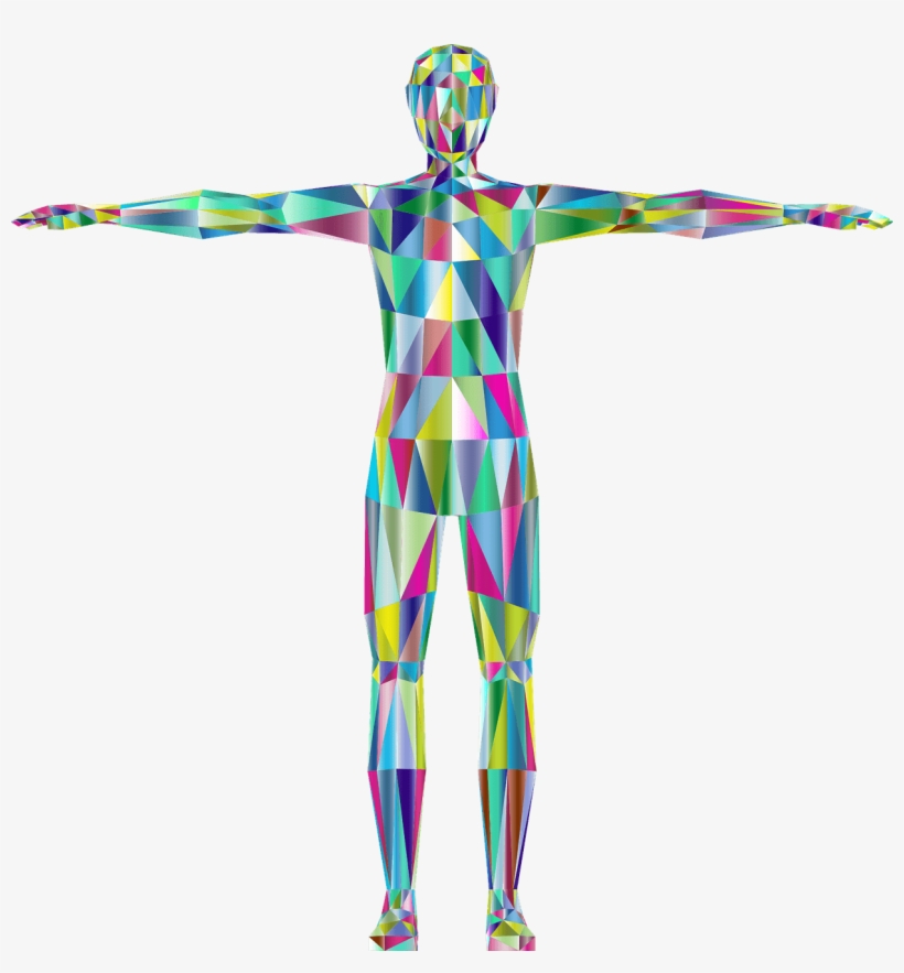 The Only Organ In The Human Body That Can Regenerate - Anatomy And ...