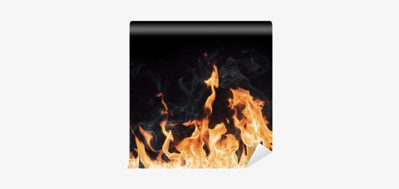 Fire PNG Image | Transparent PNG Free Download on SeekPNG