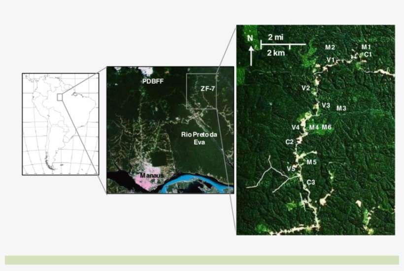 Map Of South America Showing Approximate Location Of PNG Image ...