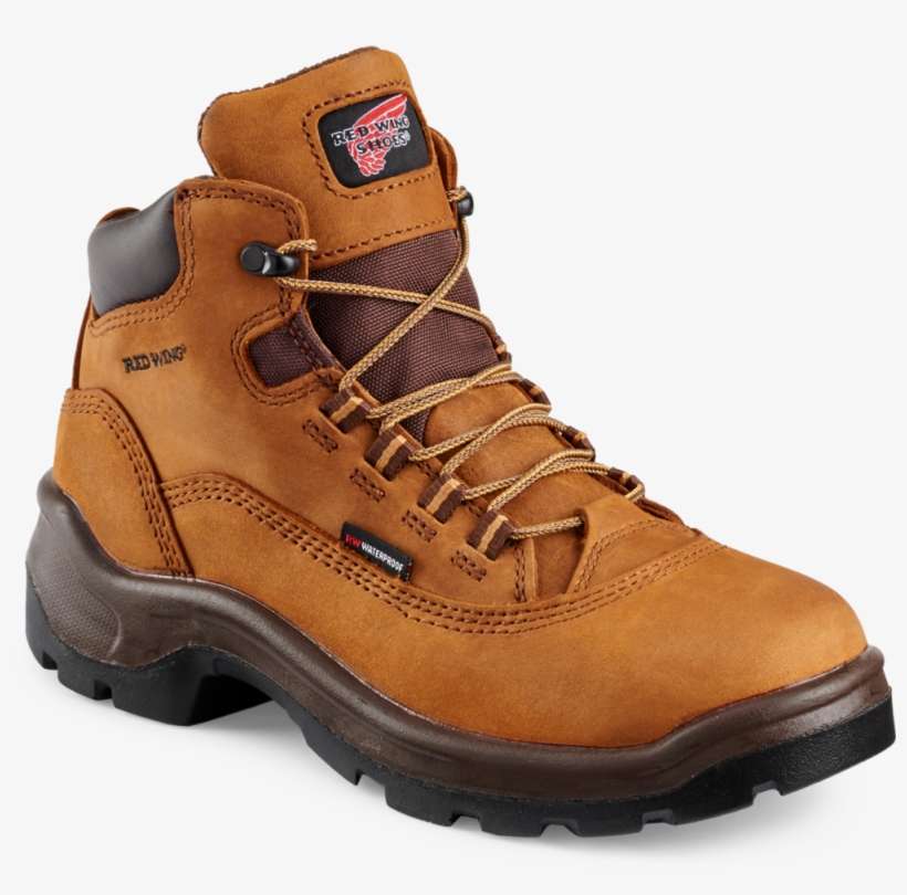 Red Wing PNG Image | Transparent PNG Free Download on SeekPNG