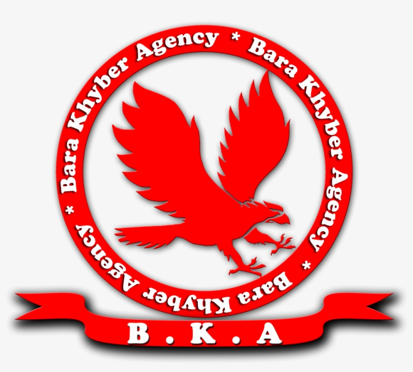 50 PNG Image | Transparent PNG Free Download on SeekPNG