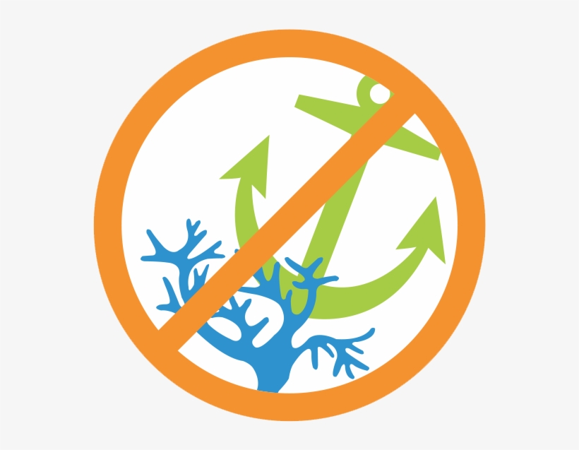 Download Do Not Anchor On Coral Reefs | Transparent PNG Download | SeekPNG