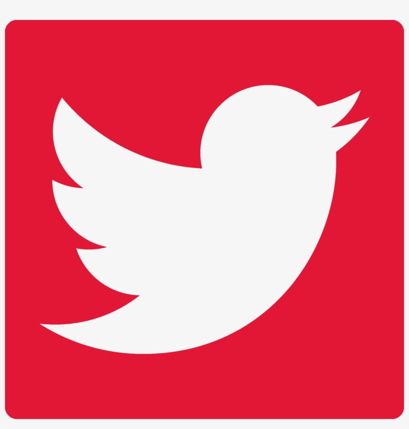 Download Twitter Branding Red | Transparent PNG Download | SeekPNG