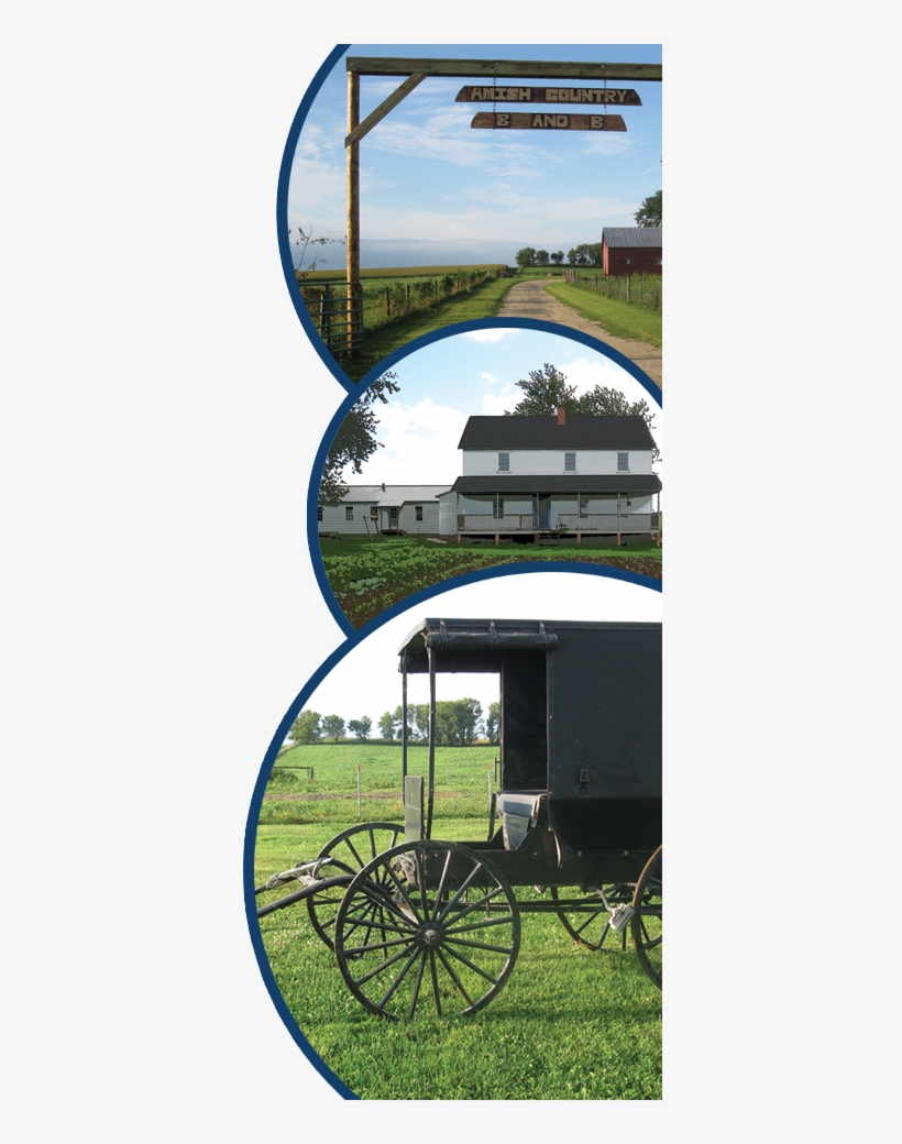 Amish Png PNG Image | Transparent PNG Free Download on SeekPNG