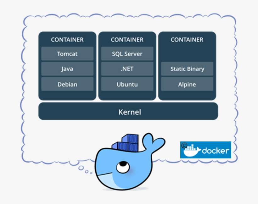 Event Details PNG Image | Transparent PNG Free Download on SeekPNG