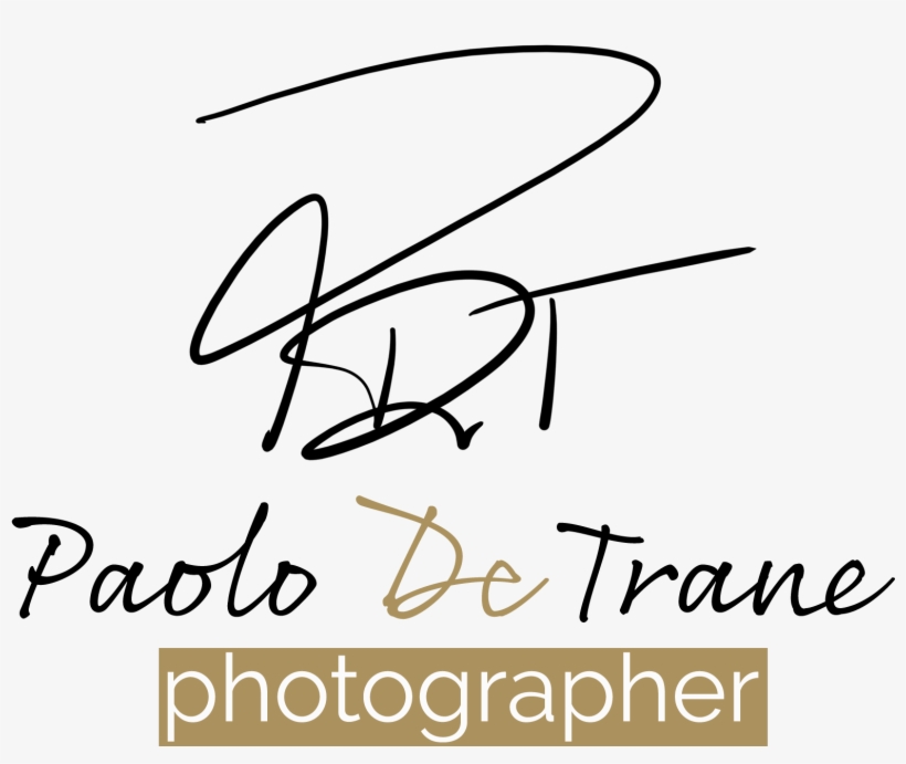 Trane Logo Png PNG Image | Transparent PNG Free Download on SeekPNG