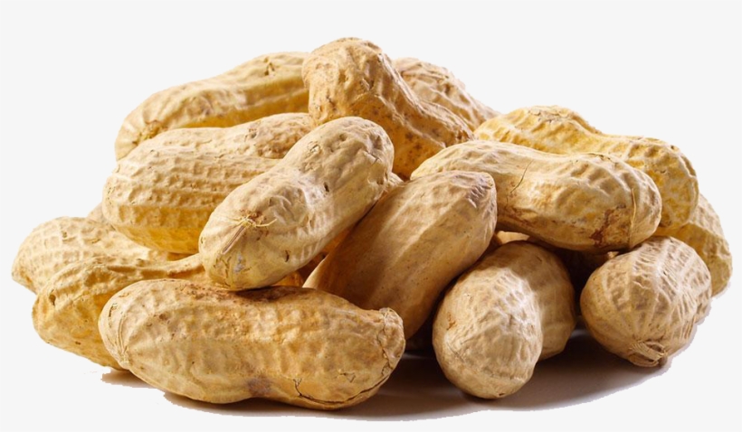 Peanuts Transparent Vector Transparent Download - Peanuts PNG Image ...