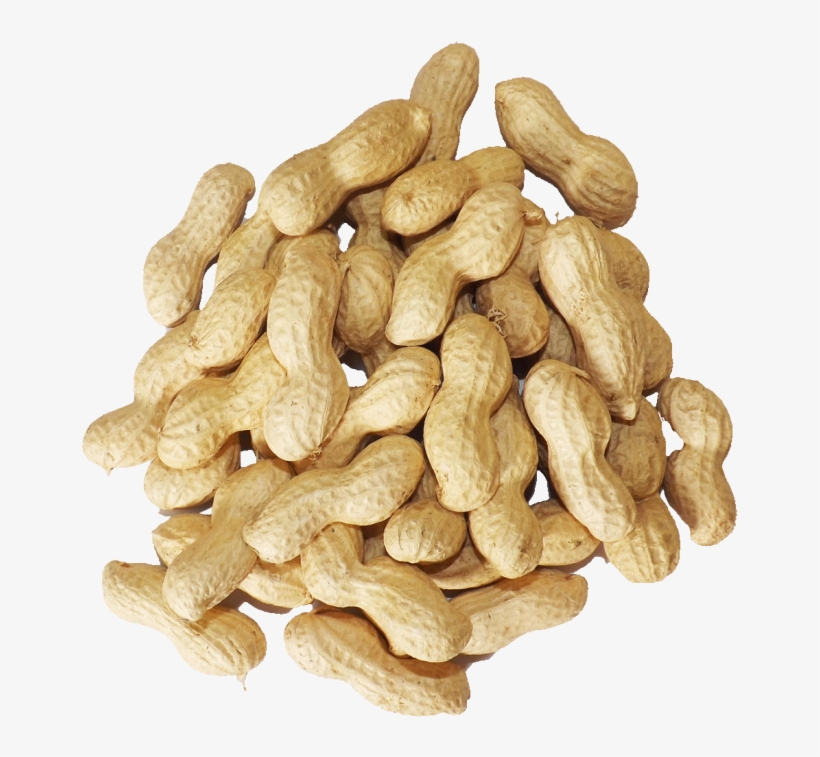 2 Cups Miniature Marshmallows - Peanut PNG Image | Transparent PNG Free ...