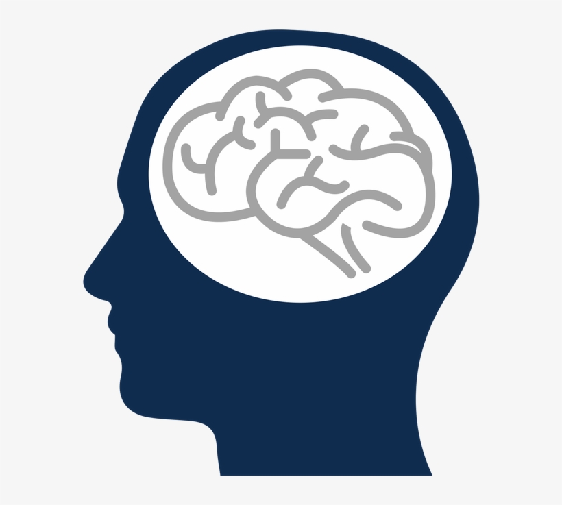 Download Brain Decision Making Tool | Transparent PNG Download | SeekPNG