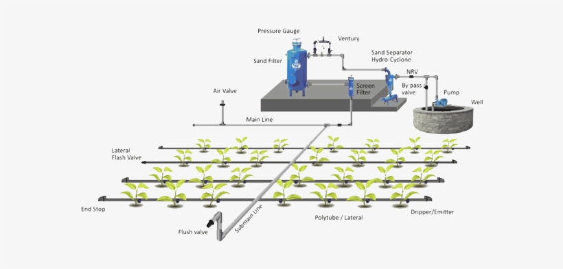 Drip Irrigation, Also Known As Trickle Irrigation Or - Component Of ...
