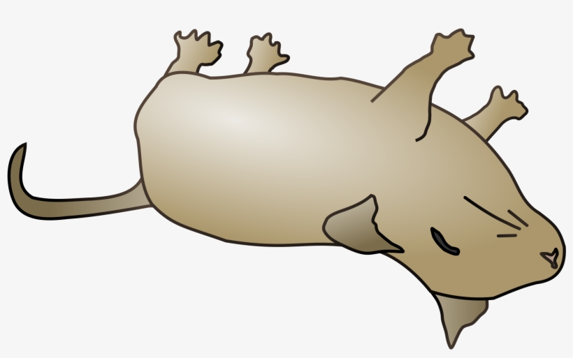 Download Mouse Animals Clipart - Dead Mouse Png | Transparent PNG ...