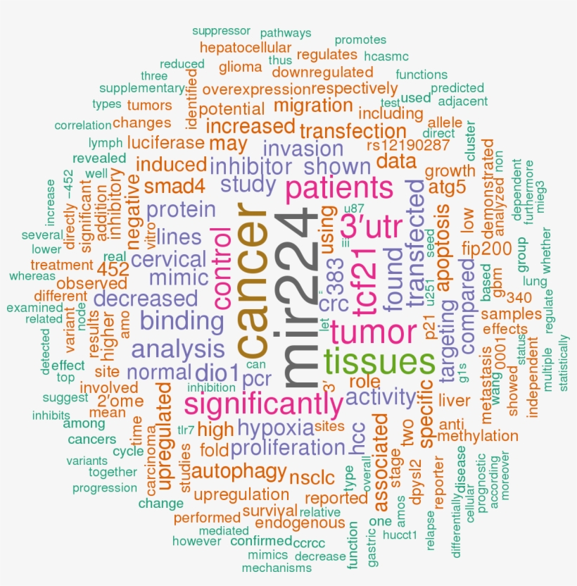 Sort By PNG Image | Transparent PNG Free Download on SeekPNG