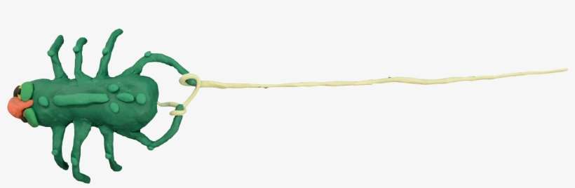 Floogen Come In Many Forms, Scarier Ones Are Yet To PNG Image ...