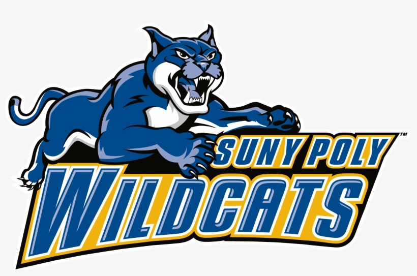 Suny Polytechnic Institute Wildcats Men's Basketball PNG Image ...