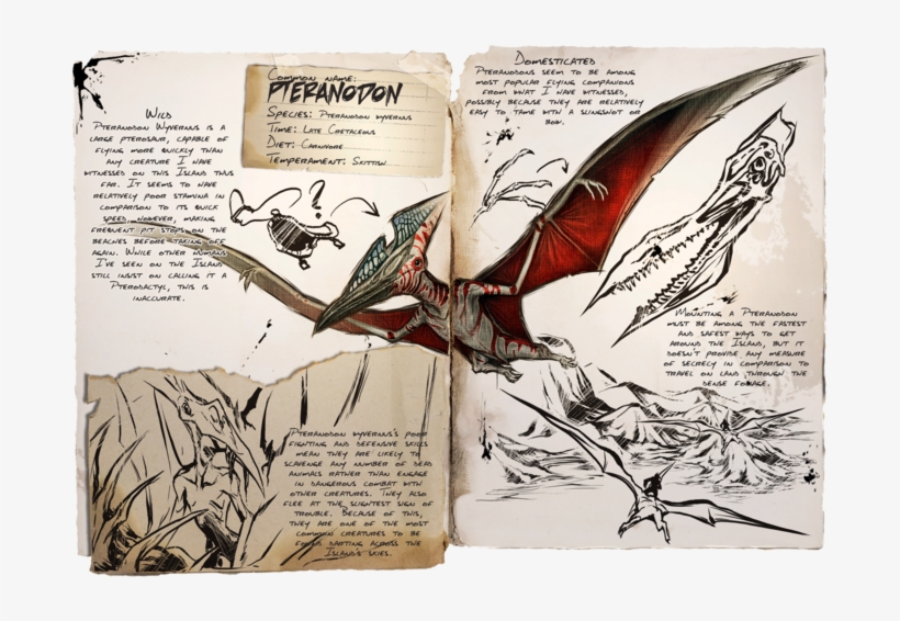 Pteranodon PNG Image | Transparent PNG Free Download on SeekPNG
